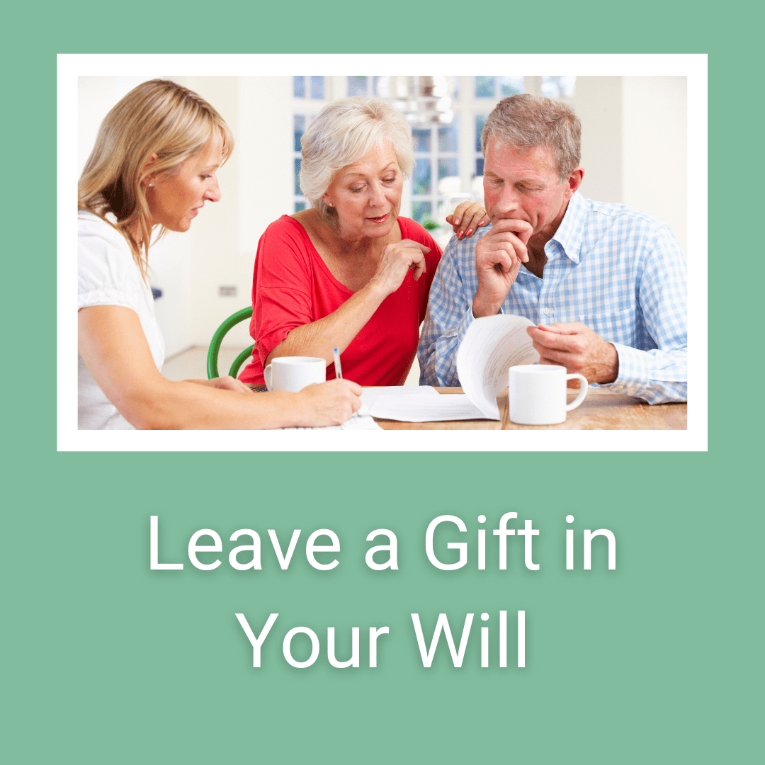 Support | Australian Veterans' Children Assistance Trust